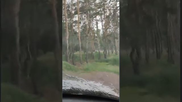 Воронеж июнь