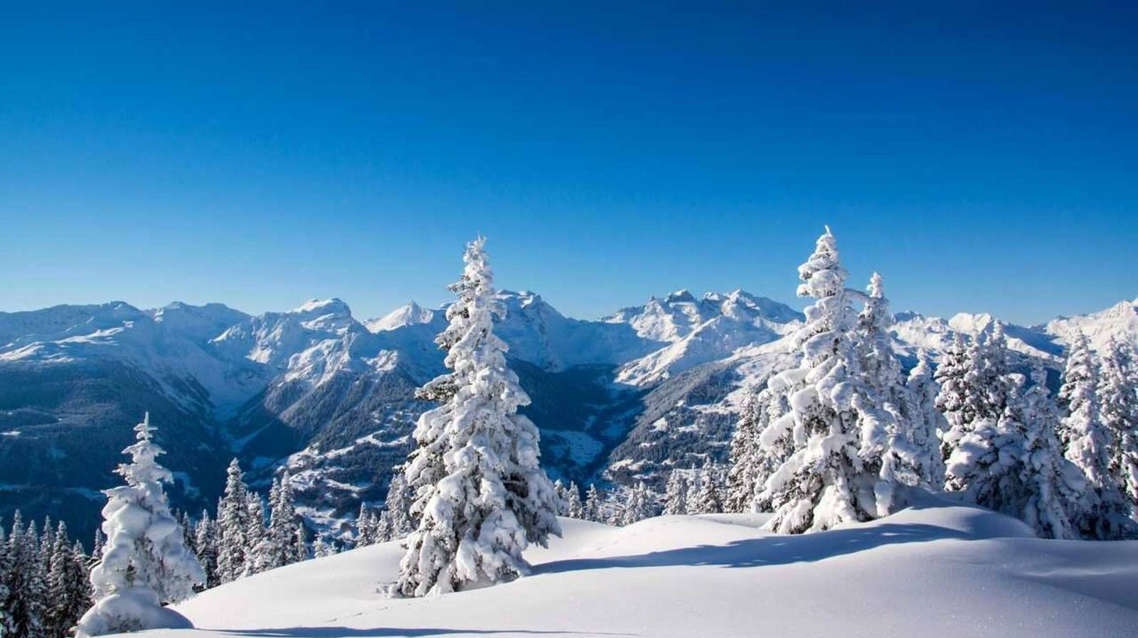 ❄️ Зимние пейзажи. У зимы есть своя красота и прелесть что очаровывает наш взор