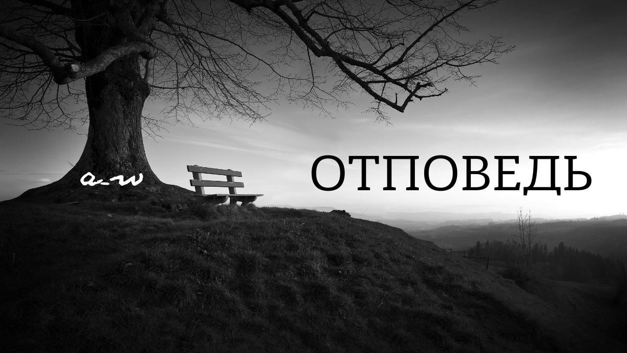 аНДРЕЙ жАБИН - Отповедь