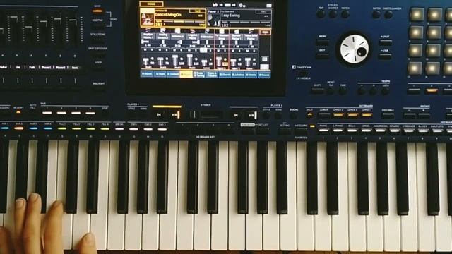 New Euro Disco Style - Ветер и дождь ( Korg Pa5x Musicant & Danekoo1 )2025