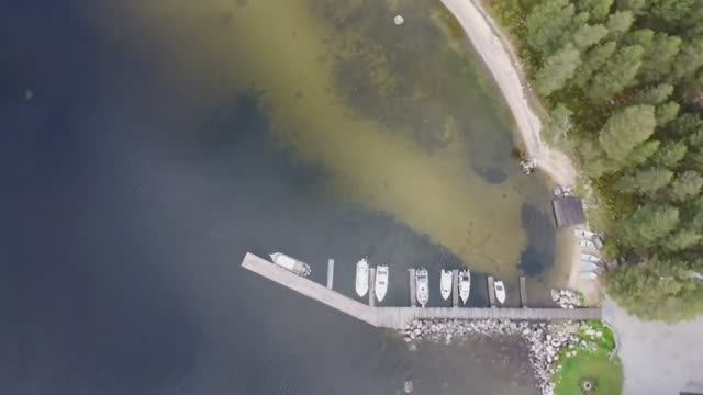 Малая Медвежка. Онега, скалы и тайга, ежегодный тур в Карелию