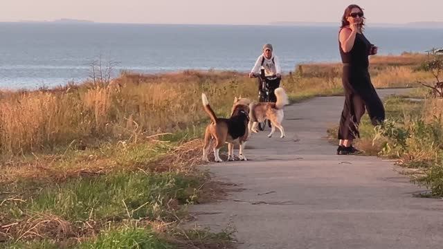 Самарская Анапа! Залипательные закаты в Ягодном!