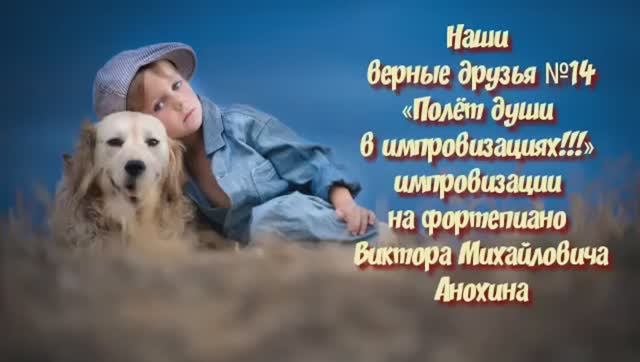 МУЗЫКА «Наши верные друзья №14» ИМПРОВИЗАЦИЯ фортепиано композитор Виктор Анохин #instrumentalmusic