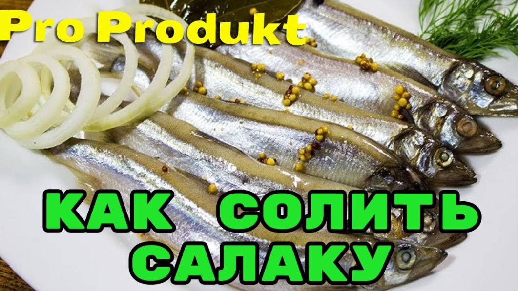 Как солить салаку