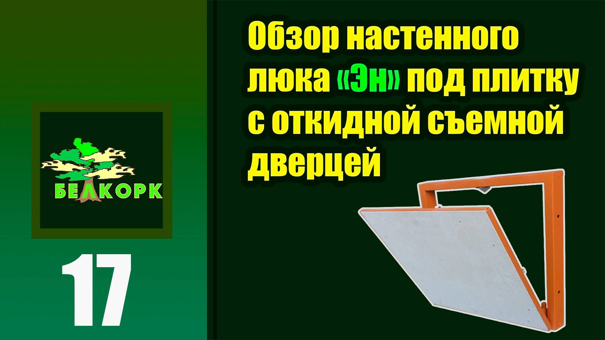 Настенный люк под плитку Эн со съемной дверцей