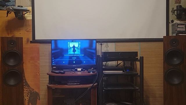 Запись на Samsung S21, наши усилитель TA-2 и новая модель напольников - F-2020-25, видео 1