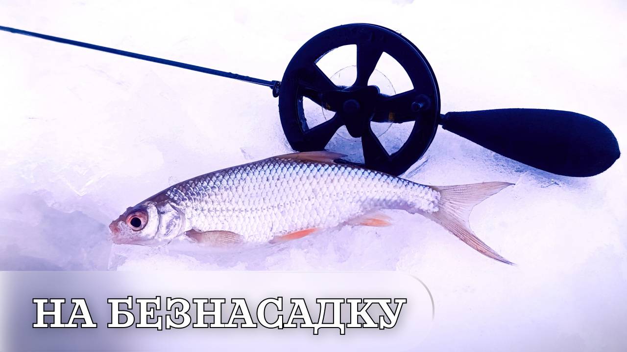 Рыбалка на реке. Перешёл на мормышку.