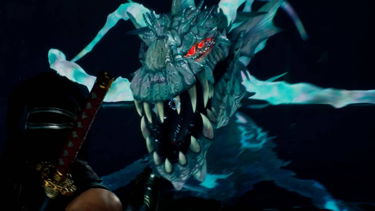 NINJA GAIDEN 2 BLACK - The Water Dragon (Hard)