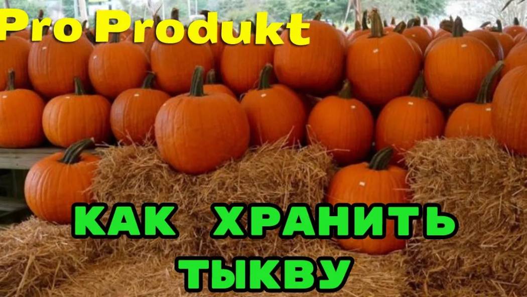 Как хранить тыкву всю зиму