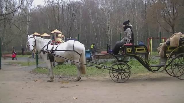 Развлечения в Осеннем парке Кусково -