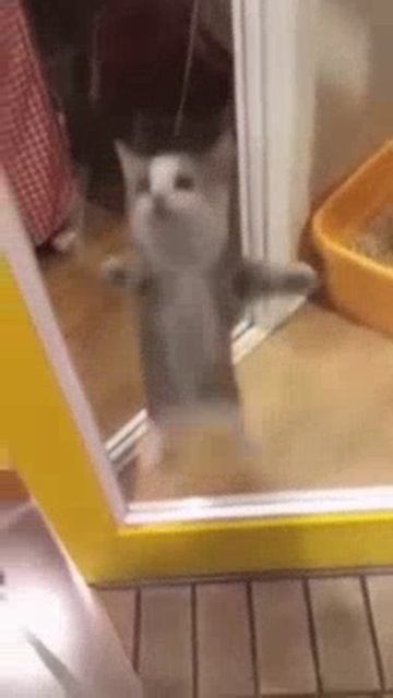 тот самый мем😆