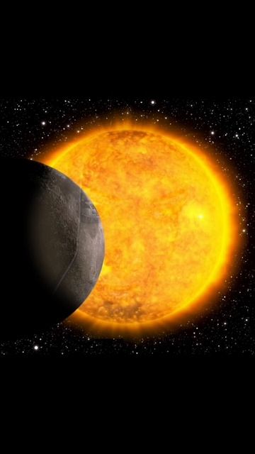 "Сказки нашего Леса"