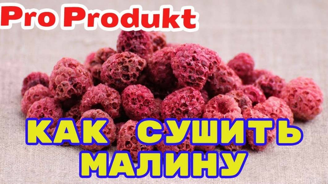 Как сушить малину