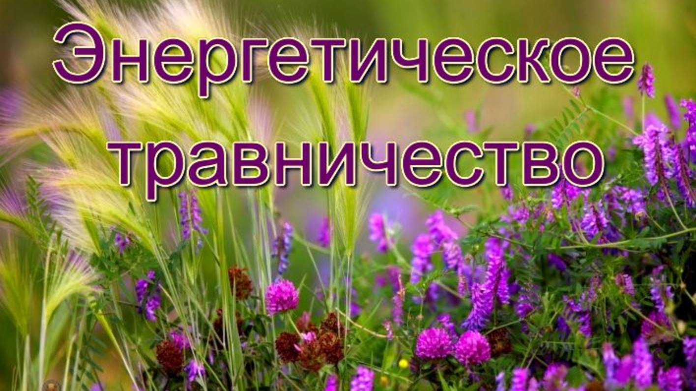 Энергетическое травничество