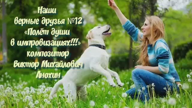 МУЗЫКА «Наши верные друзья №12» ИМПРОВИЗАЦИЯ фортепиано композитор Виктор Анохин #instrumentalmusic