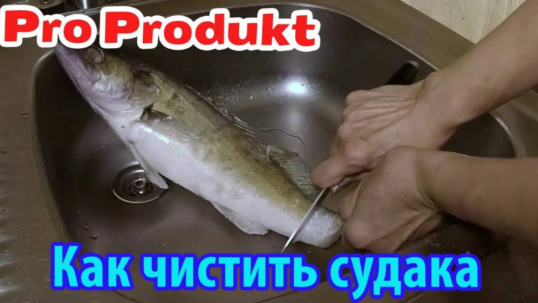 Как чистить судака