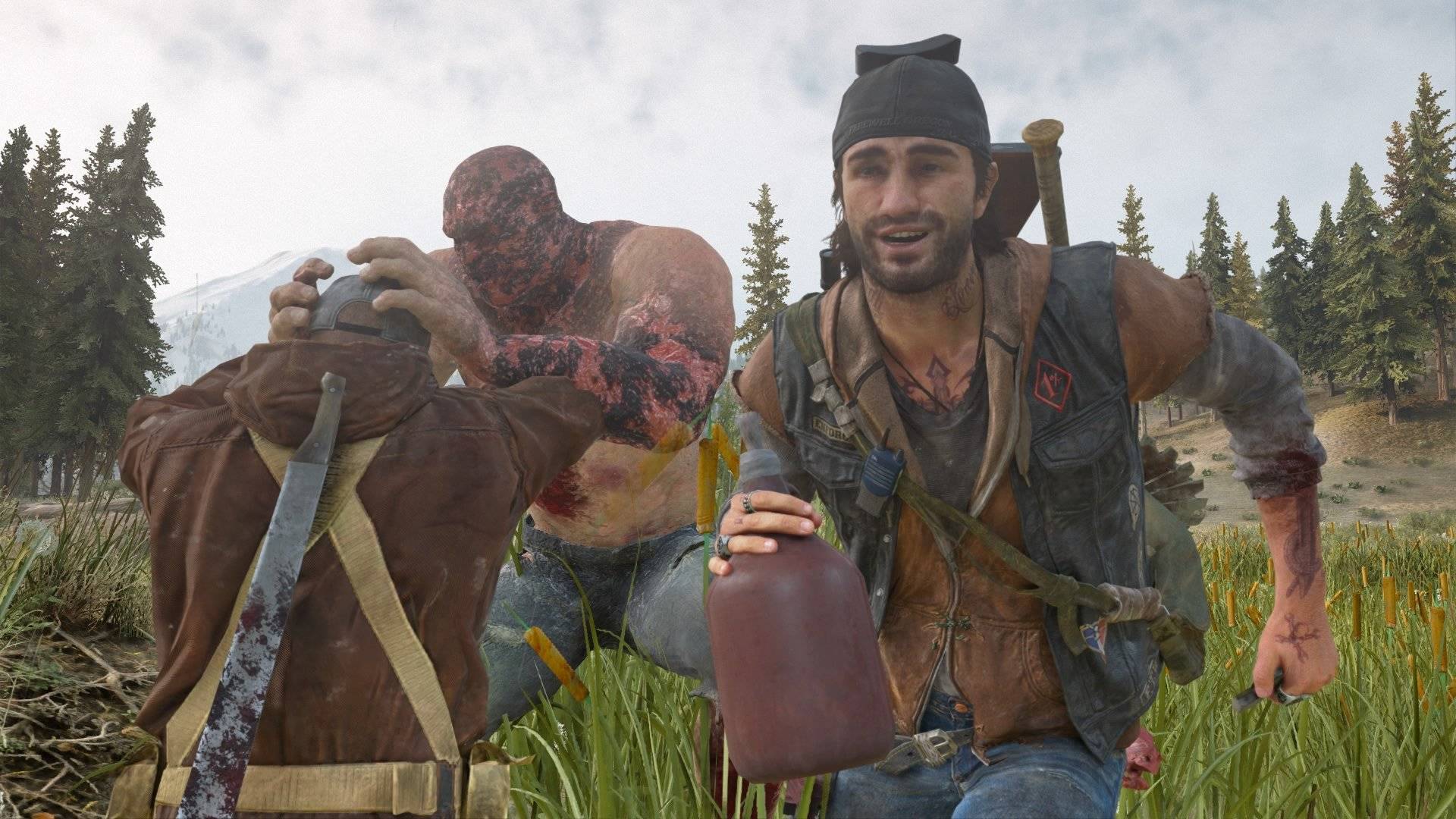 жизнь после   Days Gone