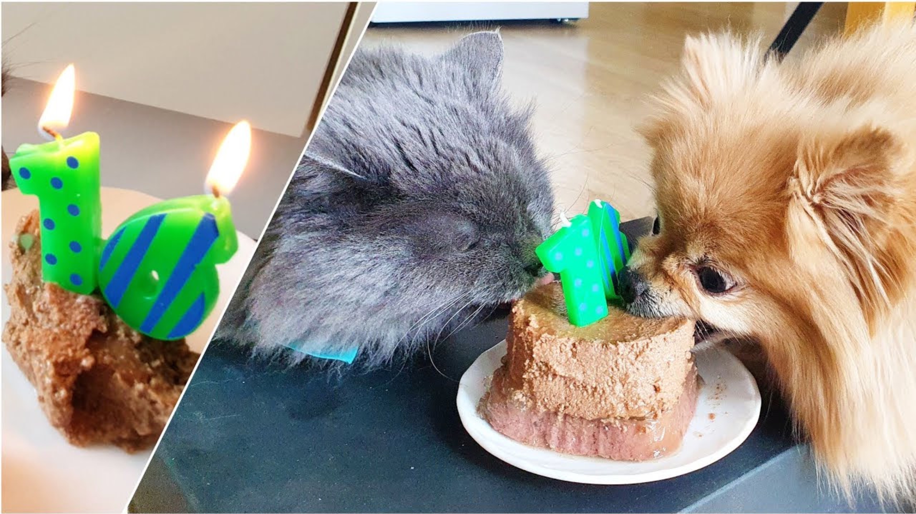 Как Бася поздравляла Рысю с 16-ти летием!