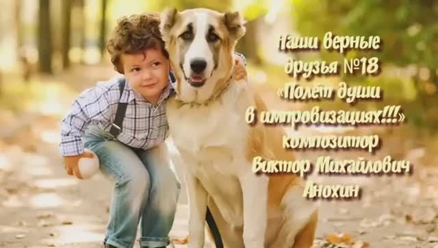 МУЗЫКА «Наши верные друзья №18» ИМПРОВИЗАЦИЯ фортепиано композитор Виктор Анохин #instrumentalmusic