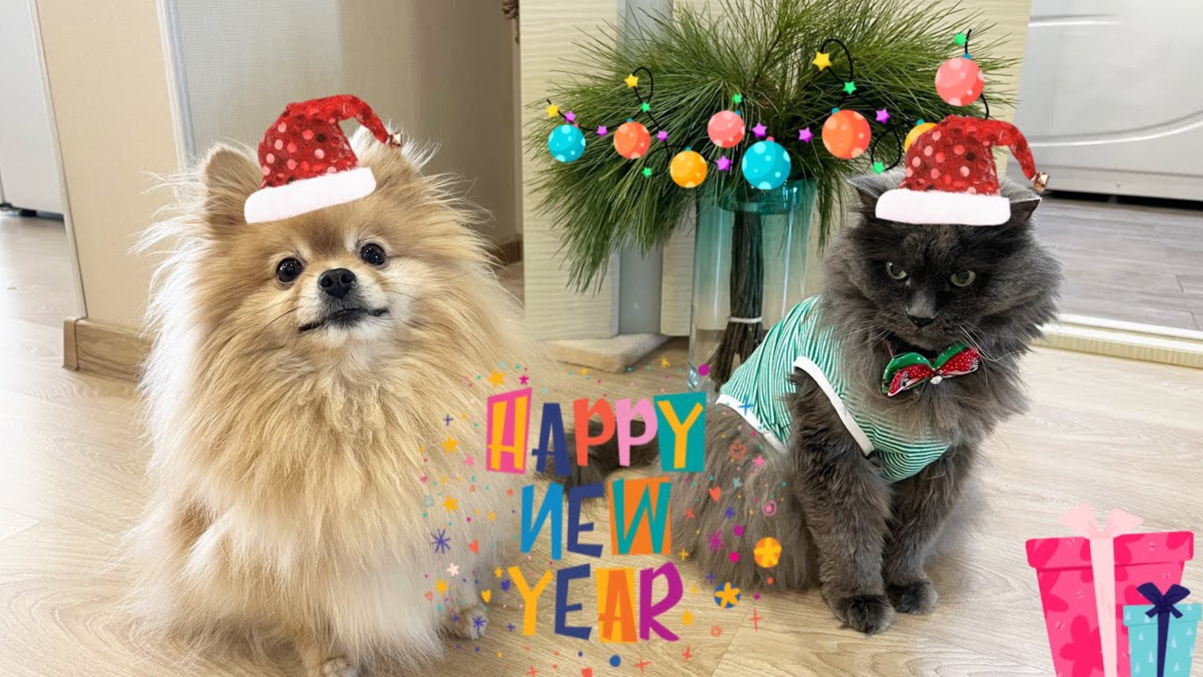 У Баси и Рыси Новый Год!!