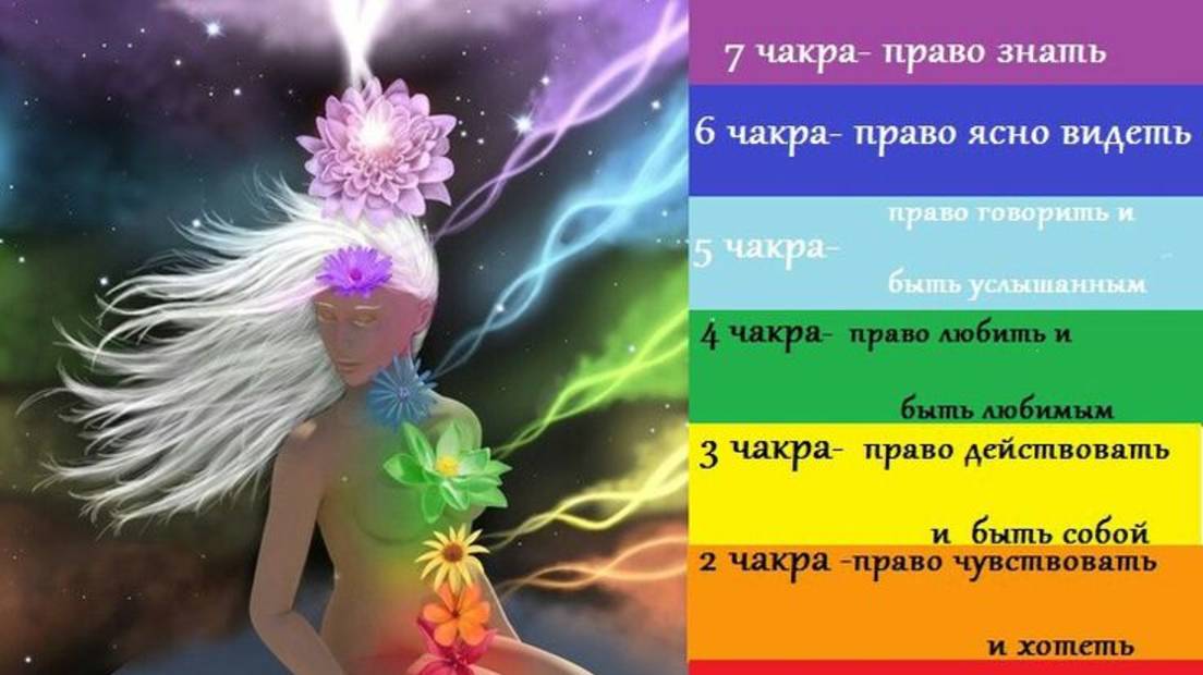 Чакральная система. Её связь со сферами жизни и здоровья. Наталья Елисеева