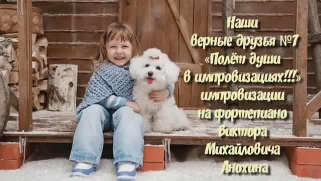 МУЗЫКА «Наши верные друзья №7» ИМПРОВИЗАЦИЯ фортепиано композитор Виктор Анохин #instrumentalmusic