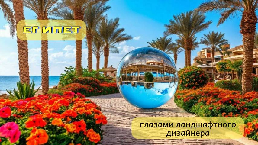 Египет глазами ландшафтного дизайнера.
