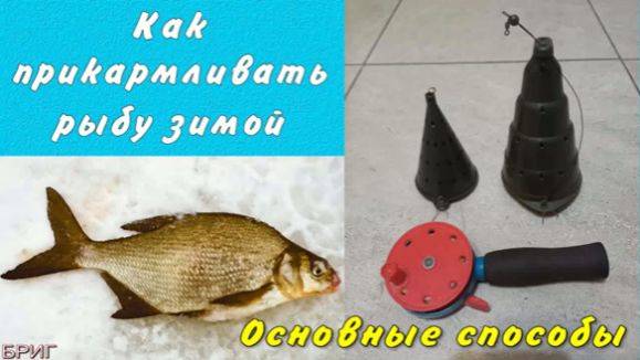 Как прикармливать рыбу зимой . Основные способы