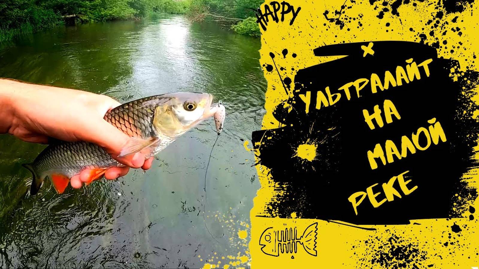 Ловля голавля на спиннинг I Рыбалка с Favorite Blue Bird BB16 762UL T