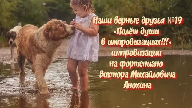 МУЗЫКА «Наши верные друзья №19» ИМПРОВИЗАЦИЯ фортепиано композитор Виктор Анохин #instrumentalmusic