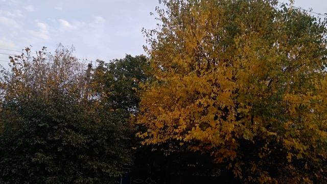 Молодогвардейская осень (2023)