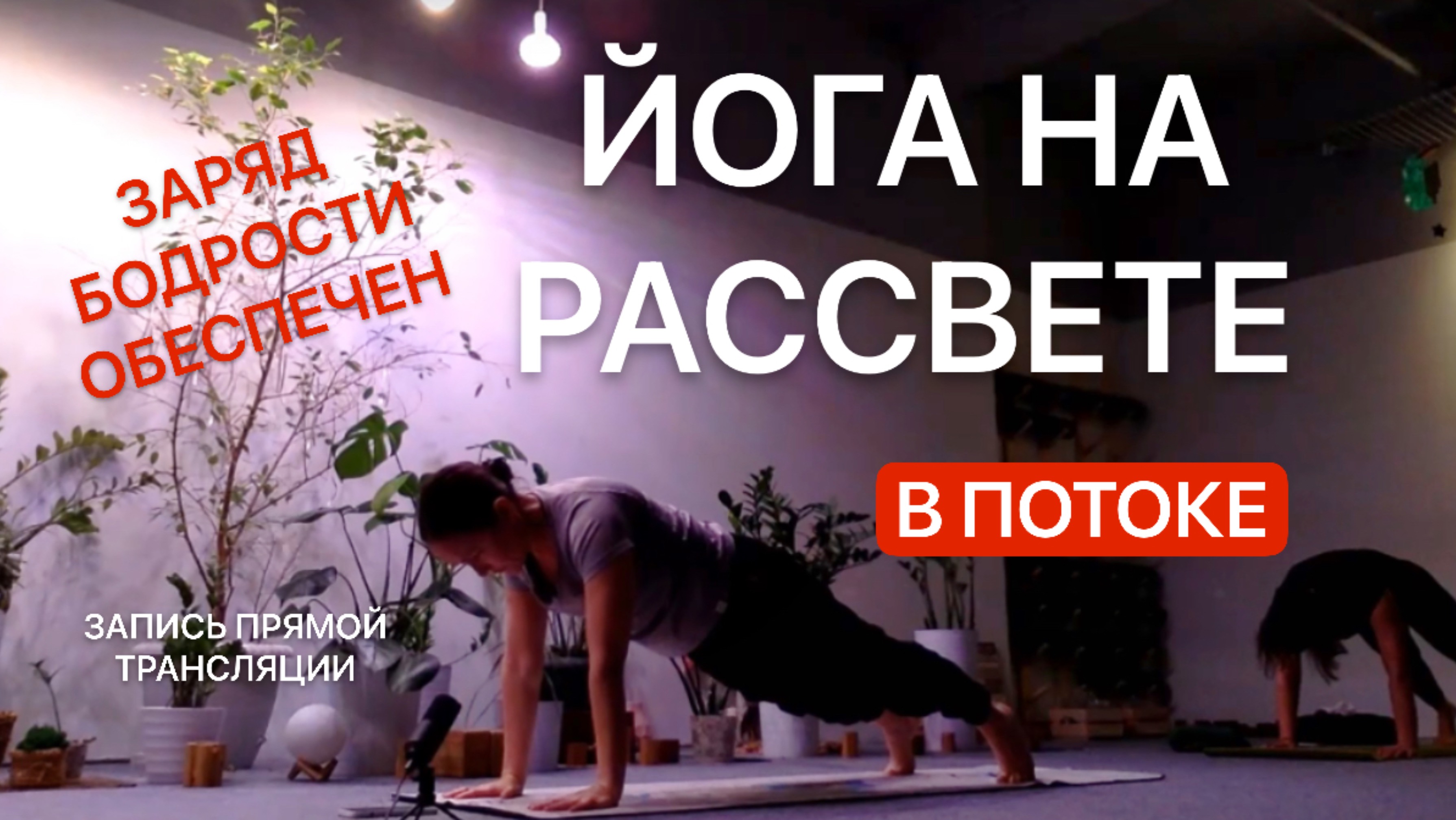 💓 Йога в потоке. Запись прямого эфира с рассветной практики