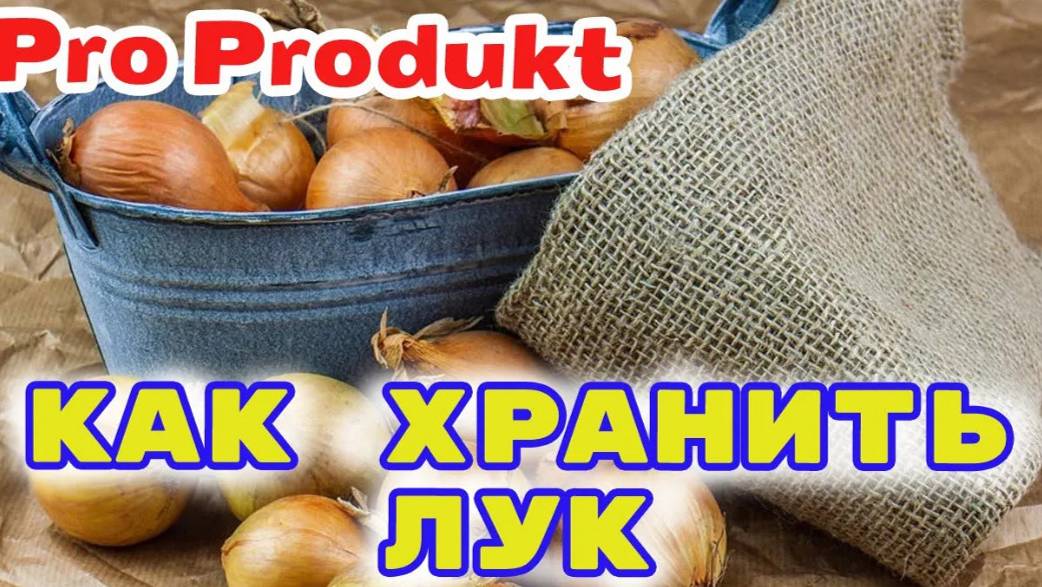 Как хранить лук целую зиму и до весны