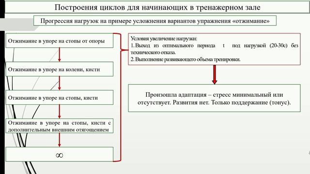 Варианты построения циклов тренировок для начинающих