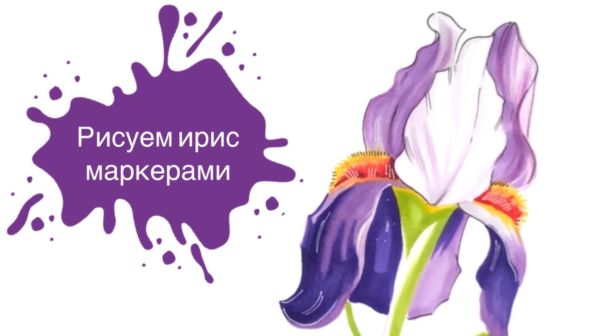 Рисуем Ирис Спиртовыми Маркерами! Урок для начинающих!