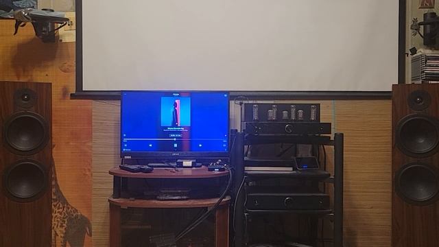 Запись на Samsung S21, наши усилитель СA-2.9-Light и новая модель напольников - F-2020-25, видео 1