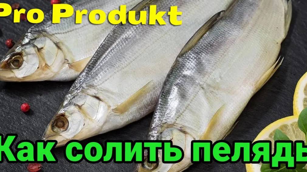 Как солить пелядь очень вкусно и быстро