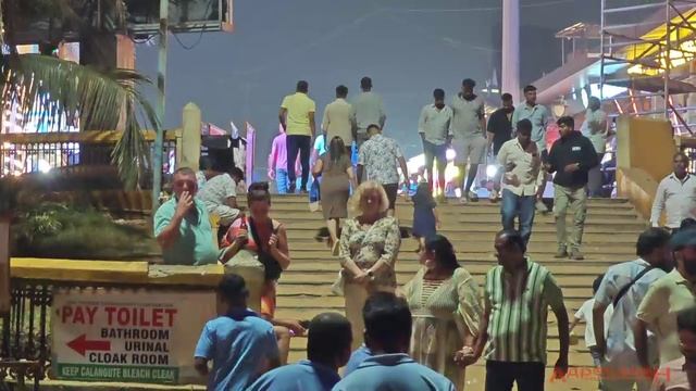 Вечерний Гоа. Телок много.