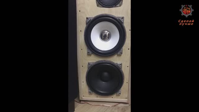 Тест На что способен советский НЧ динамик