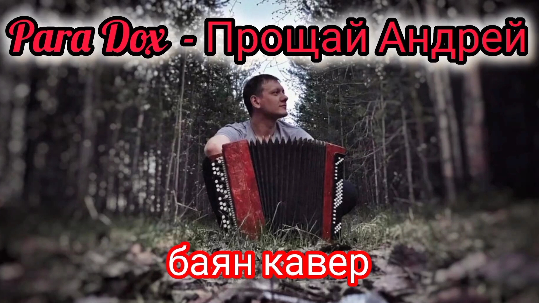 Парадокс - Прощай Андрей(Последнее слово). Кавер на баяне