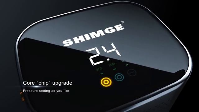 Обзор насоса серии ZPE-25 Shimge