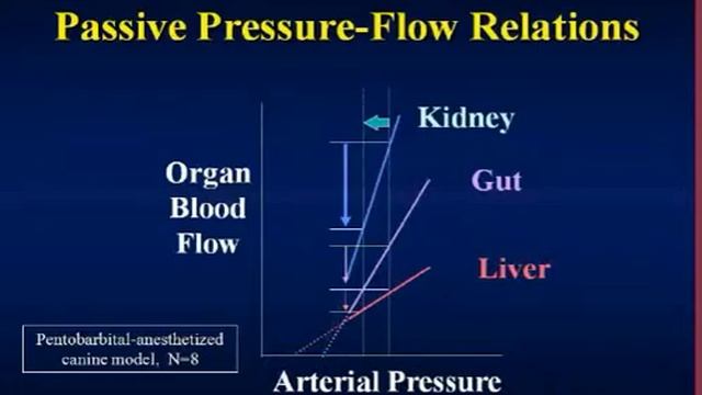 35  Hypotensive patient  Pinsky M  Rome (2009)