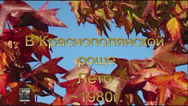 В Краснополянской Роще 1980-1981г.