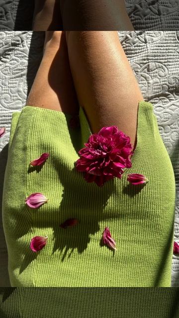 Выращивание георгин