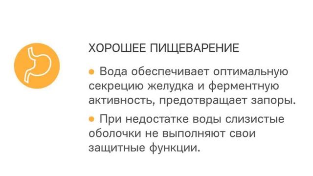 Начни с воды. 8 причин пить воду постоянно!