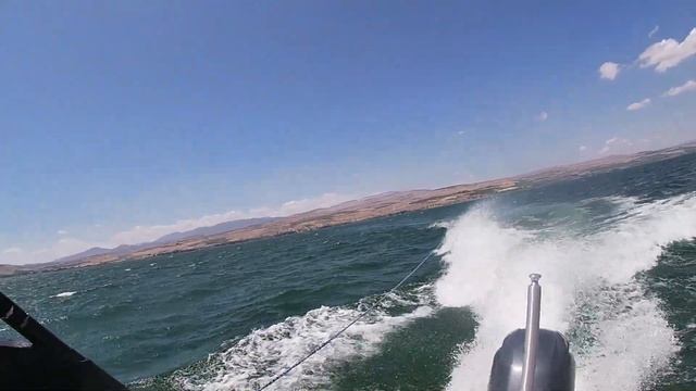 Водный моторспорт, вейкобрд Кинерет июль 2024