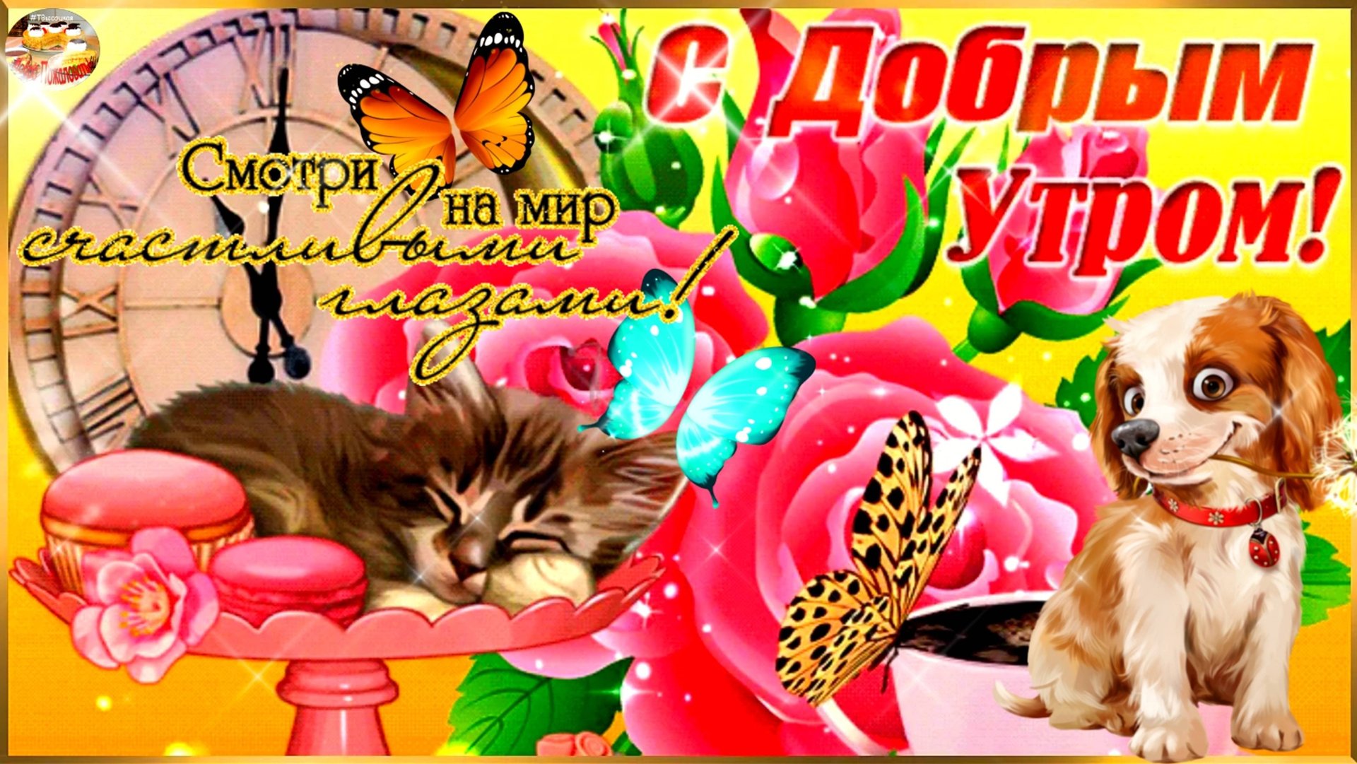 НАИЛУЧШЕГО ДОБРОГО УТРА! СМОТРИ НА МИР СЧАСЛИВЫМИ ГЛАЗАМИ! Музыкальное поздравление на каждый день.