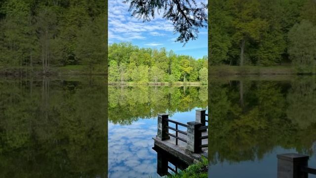 Царицыно. 15.05.2024