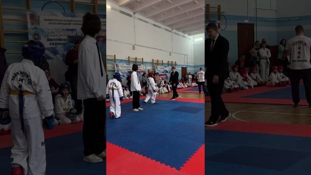 Турнир по тхэквондо памяти Михаила Юрьевича Малофеева