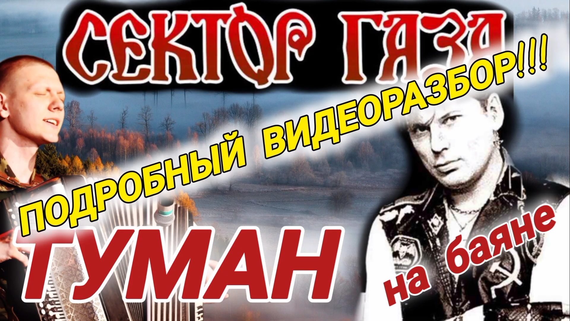 ТумАн - Сектор Газа. ПОДРОБНЫЙ ВИДЕОРАЗБОР на баяне  #секторгаза #туман #хой #баянист